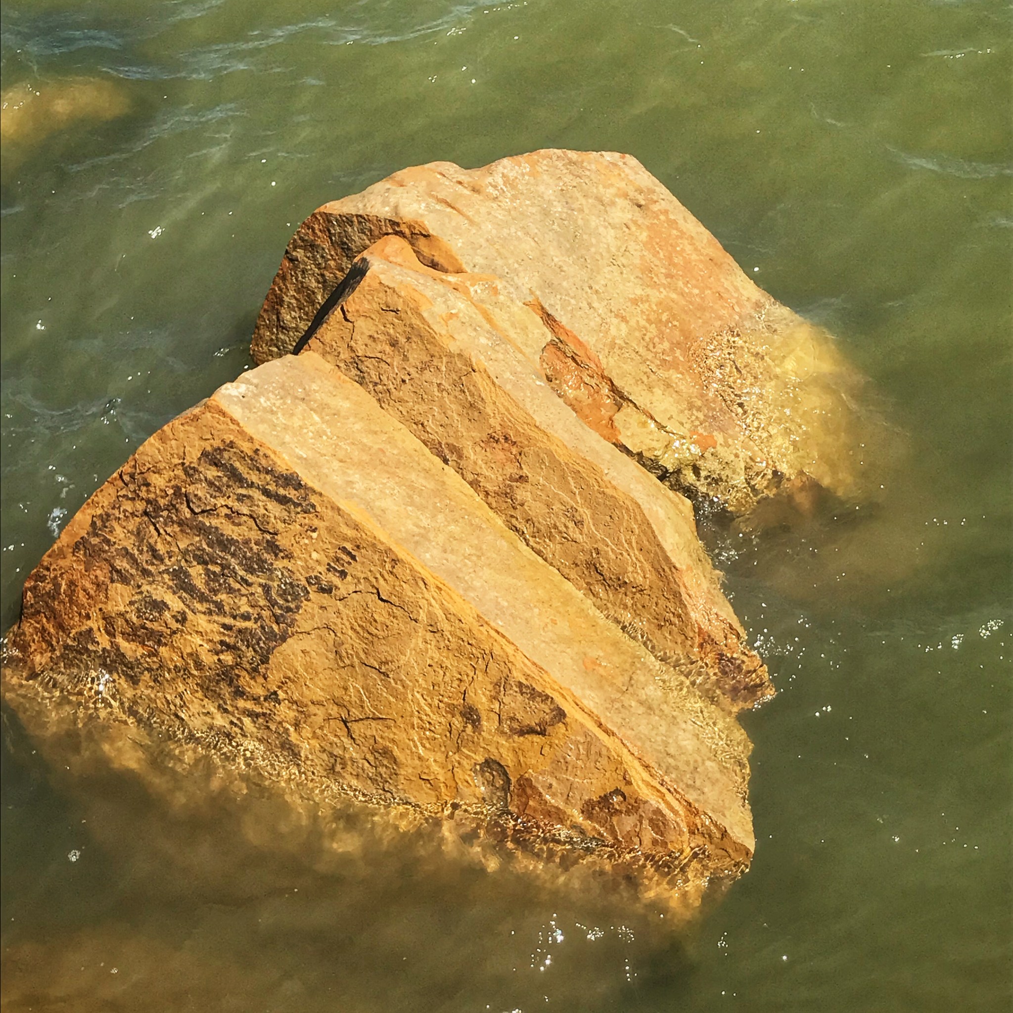 Hiking Lake Grapevine – McGee Travel Tales