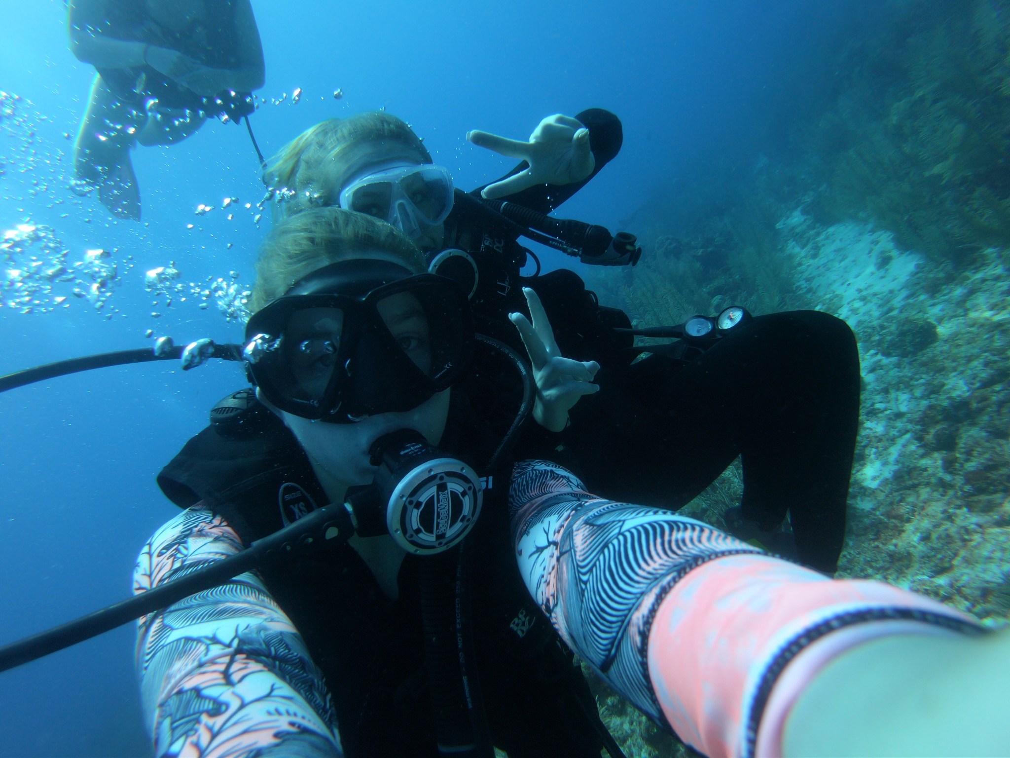 Belize: Two-Tank Dive – McGee Travel Tales