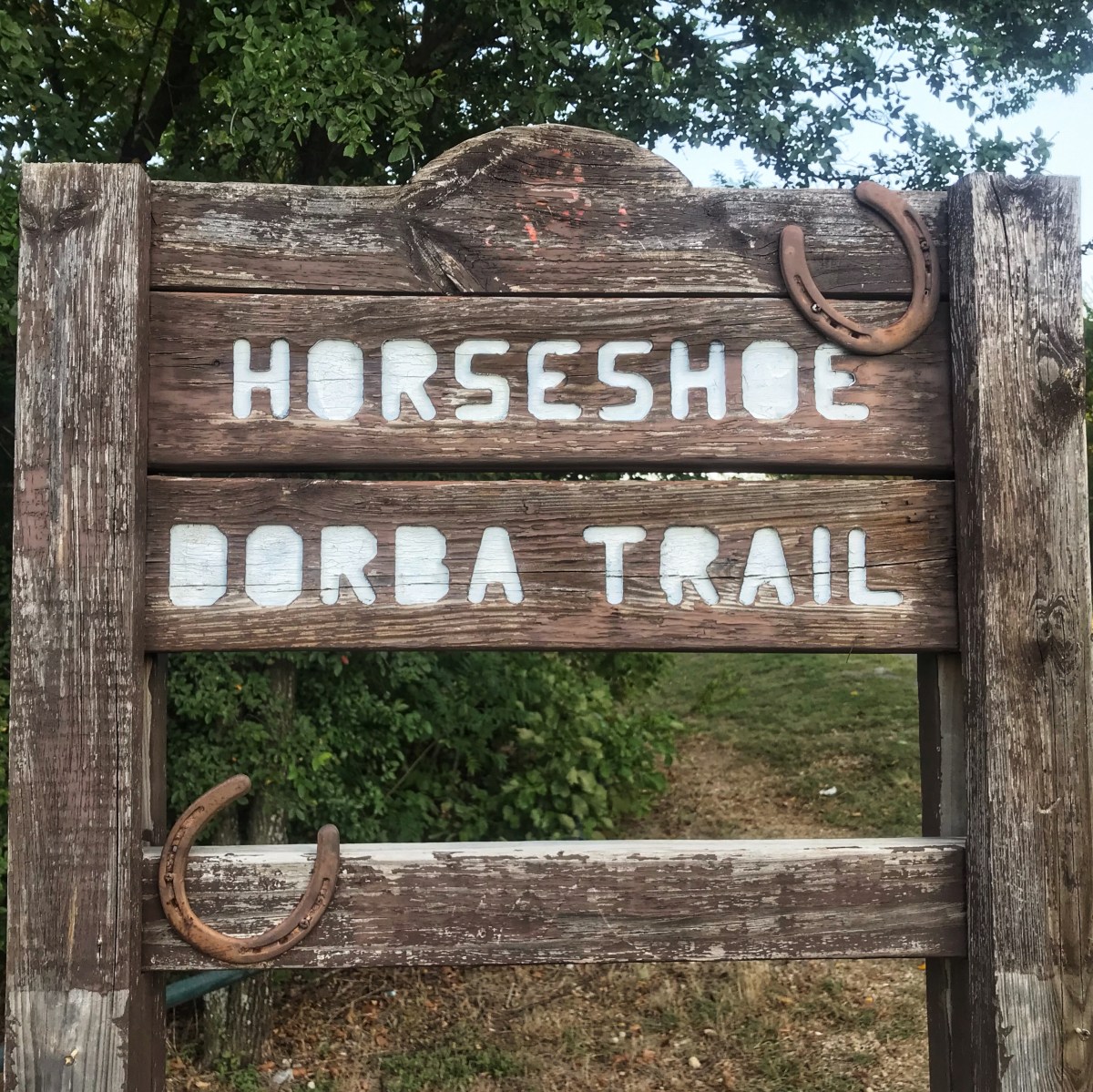 Hiking Horseshoe Trail – Lake Grapevine – McGee Travel Tales