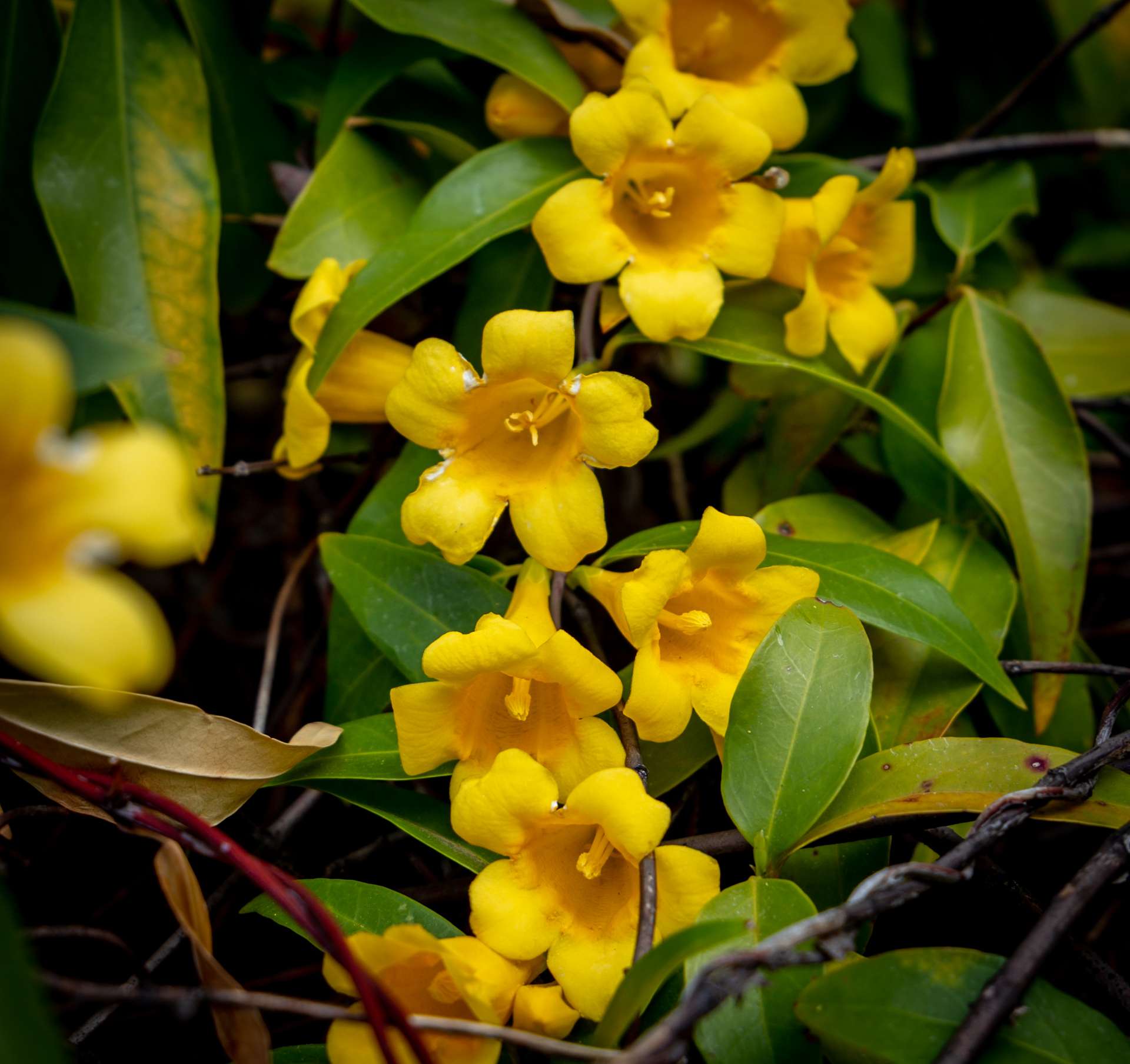 Hello to Spring Colors – McGee Travel Tales