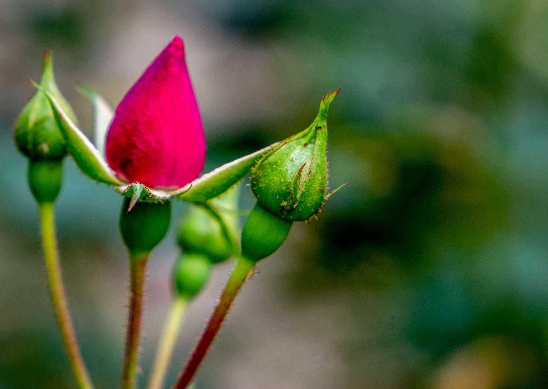 Working From Home: Reality – McGee Travel Tales