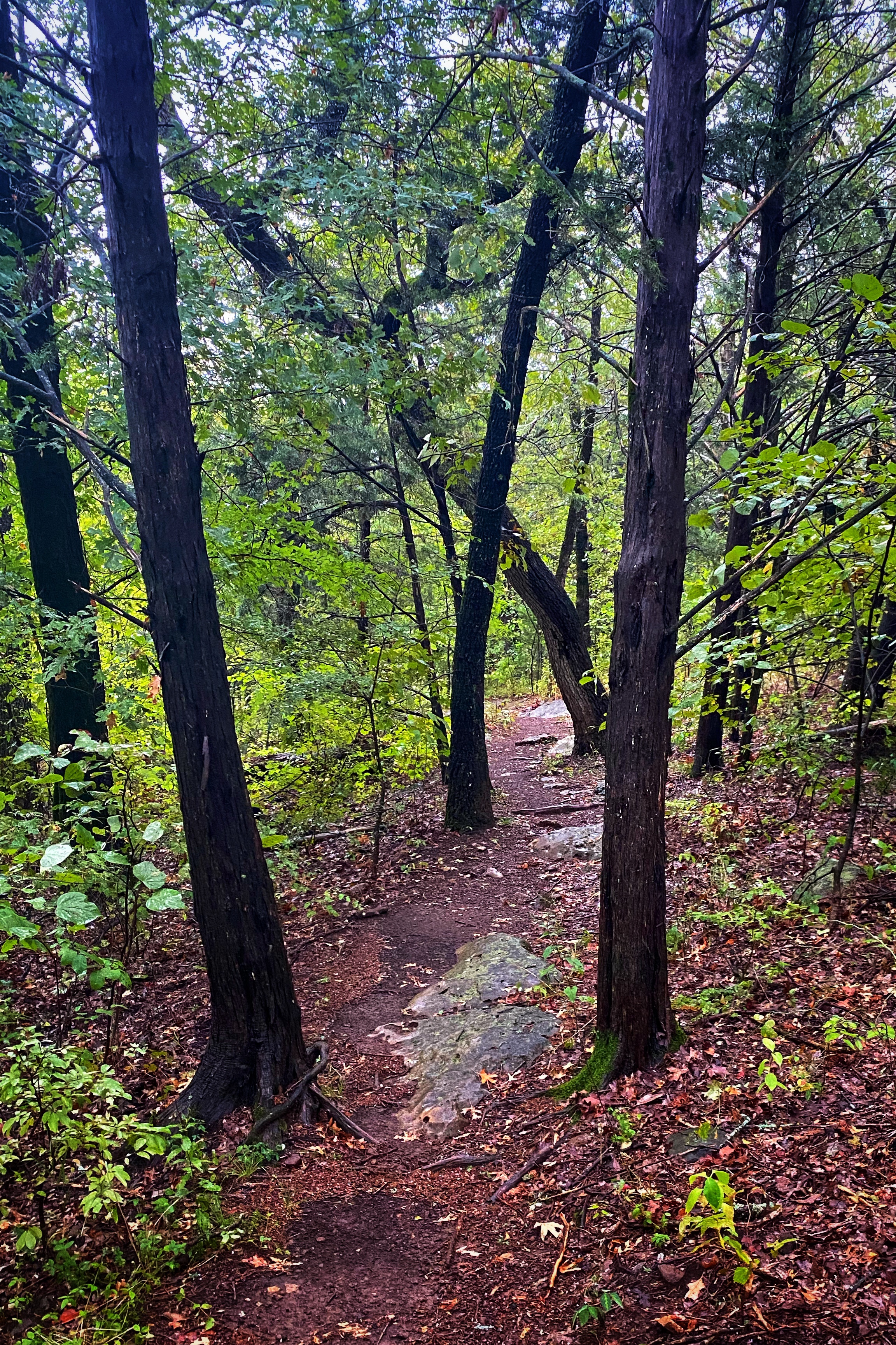Hiking Ray Roberts State Park – McGee Travel Tales