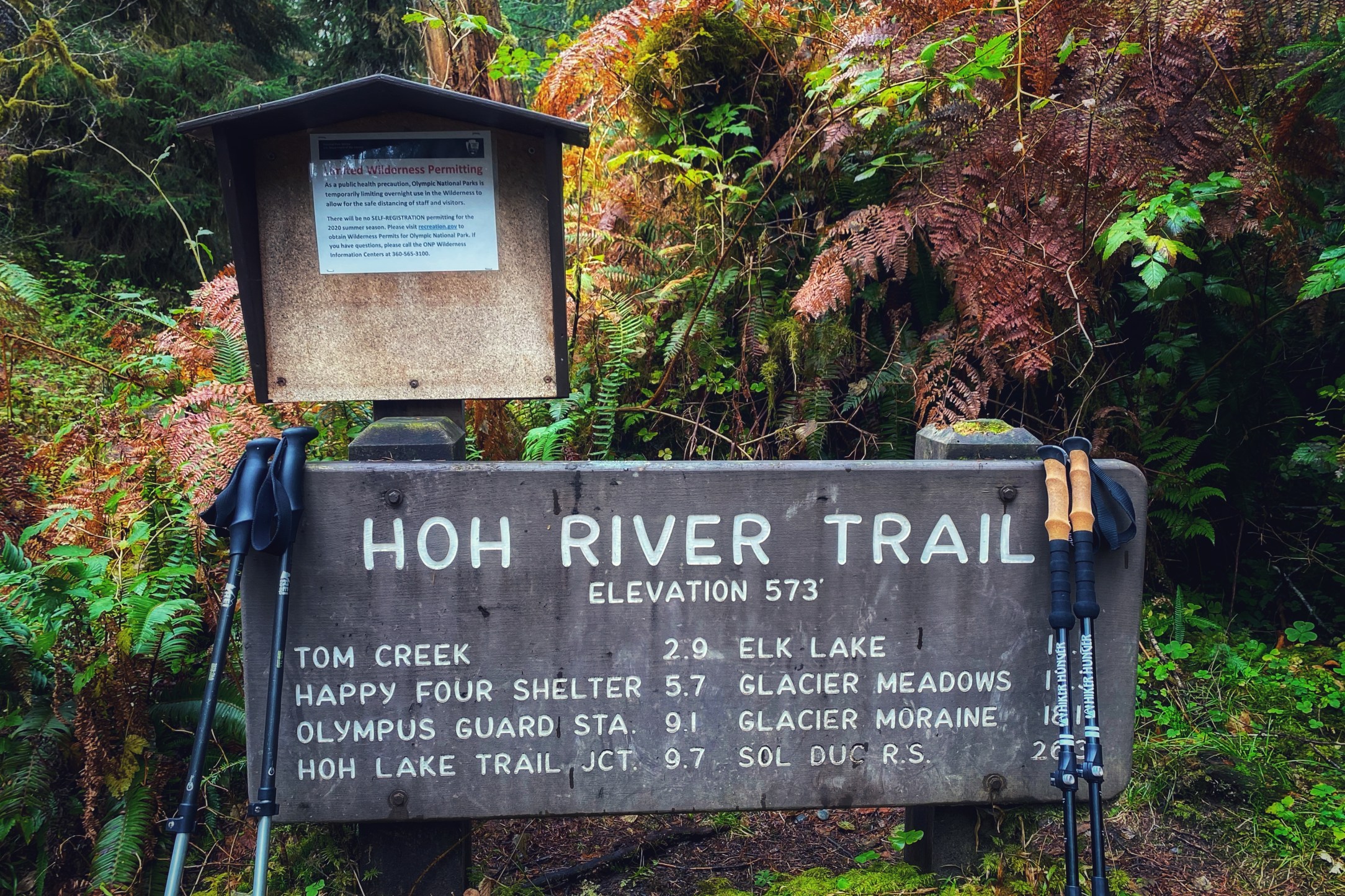Olympic Peninsula: Hoh Rainforest – McGee Travel Tales
