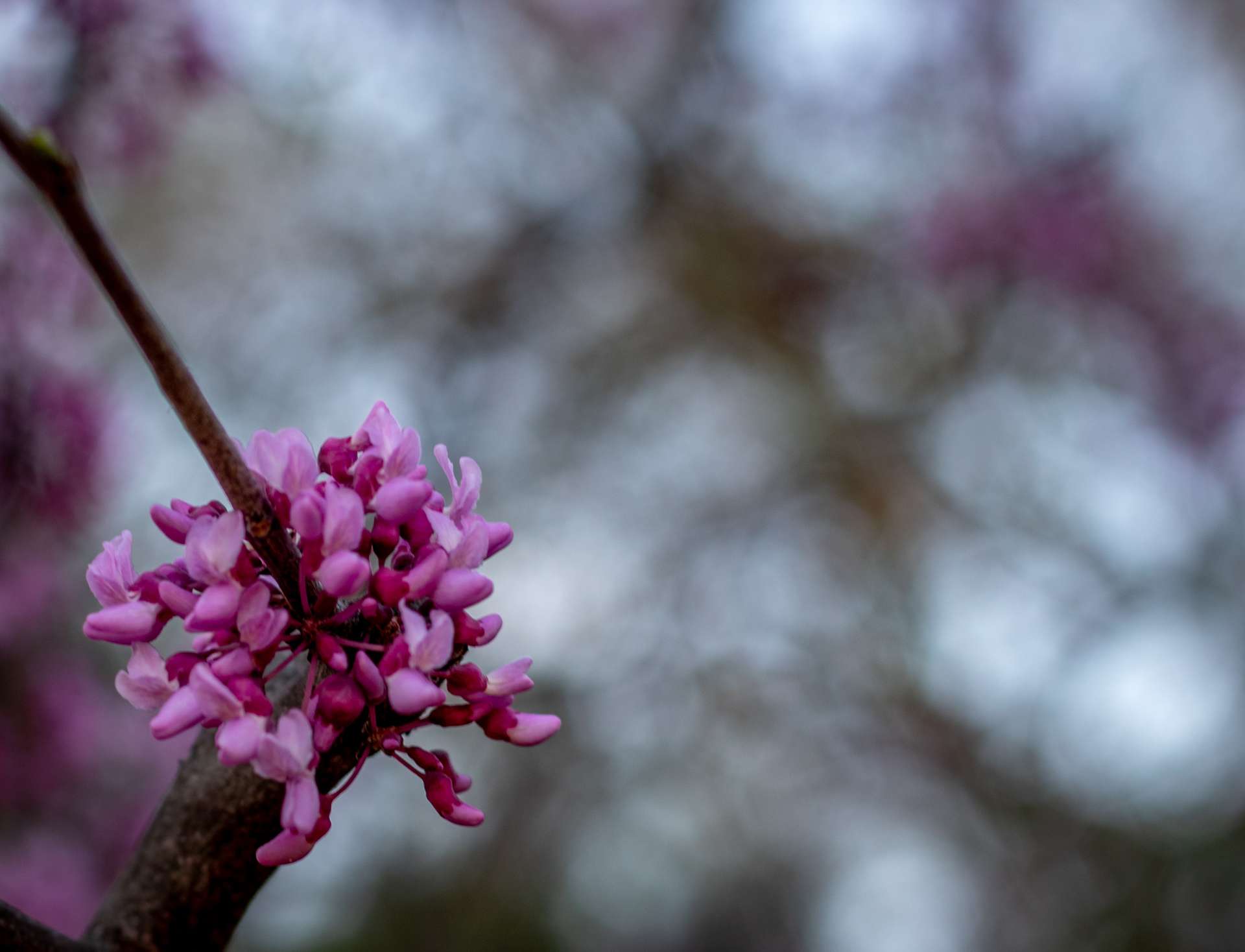 Hello Springtime – McGee Travel Tales