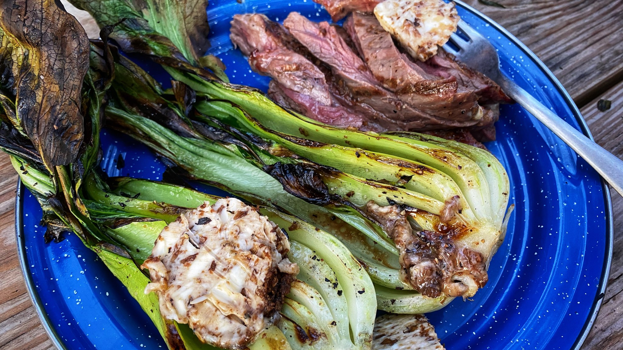 Cookbook Review: Campfire Edition – McGee Travel Tales